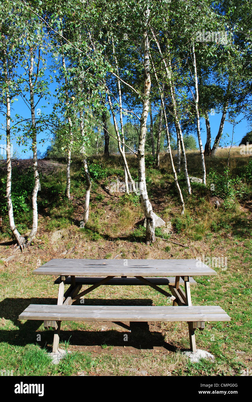 Wooden table in picnic area on italian Alps mountains in summer Stock ...