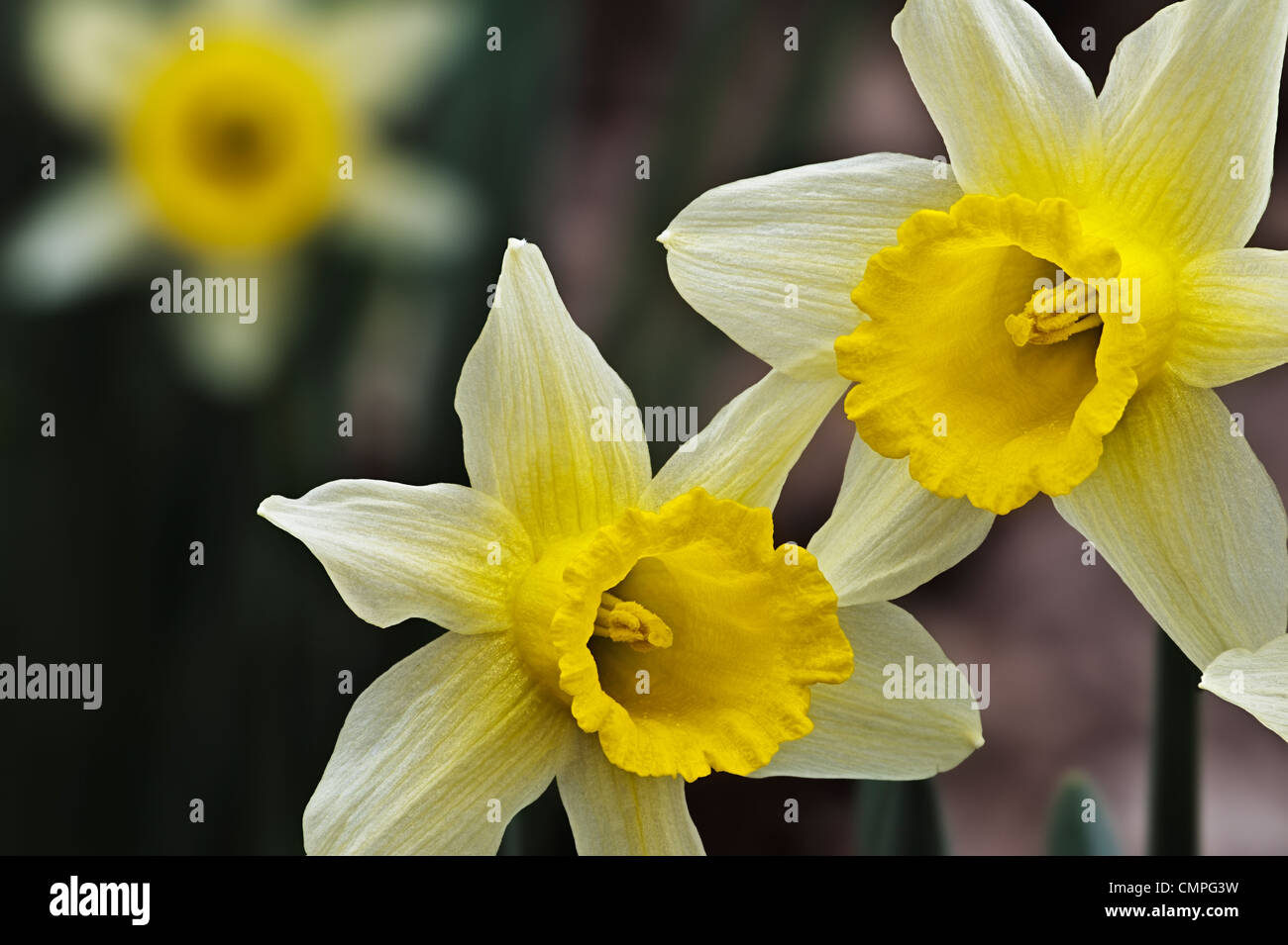 Ssp triangle hi-res stock photography and images - Alamy