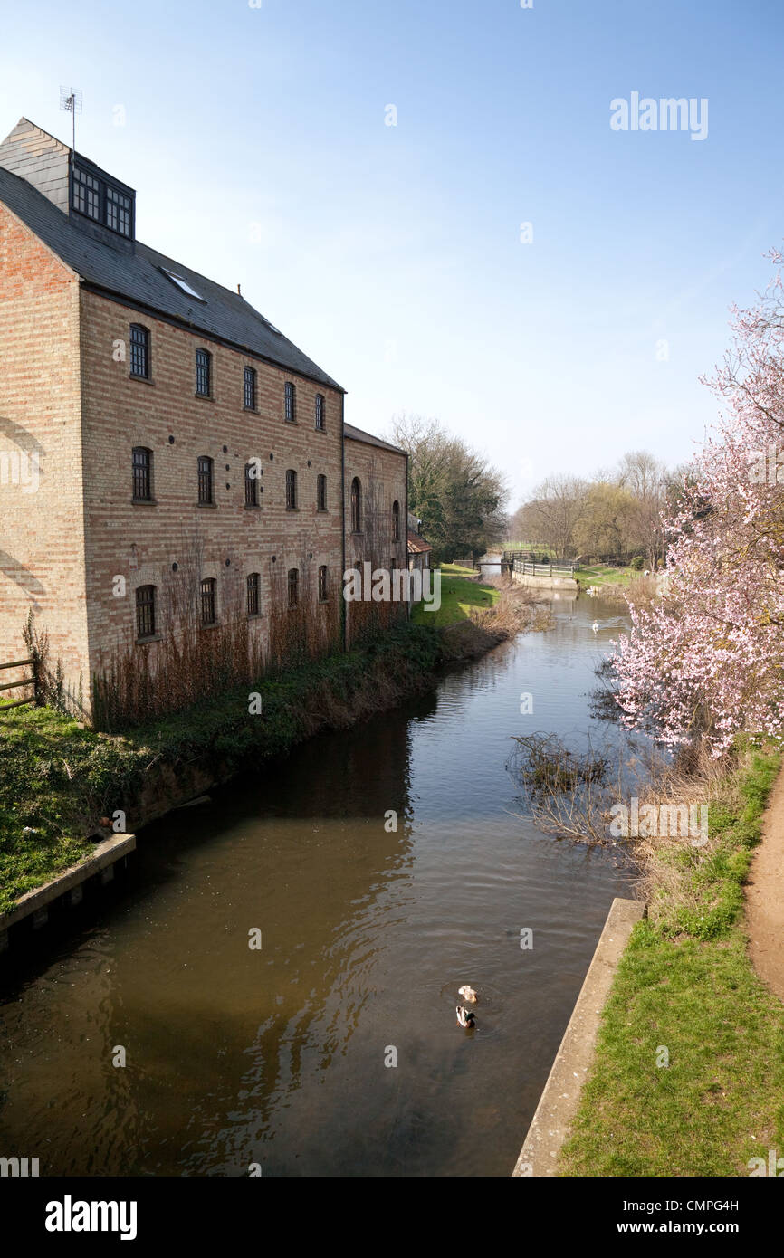 The River Lark and old Mill at Mildenhall Suffolk , East Anglia UK ...