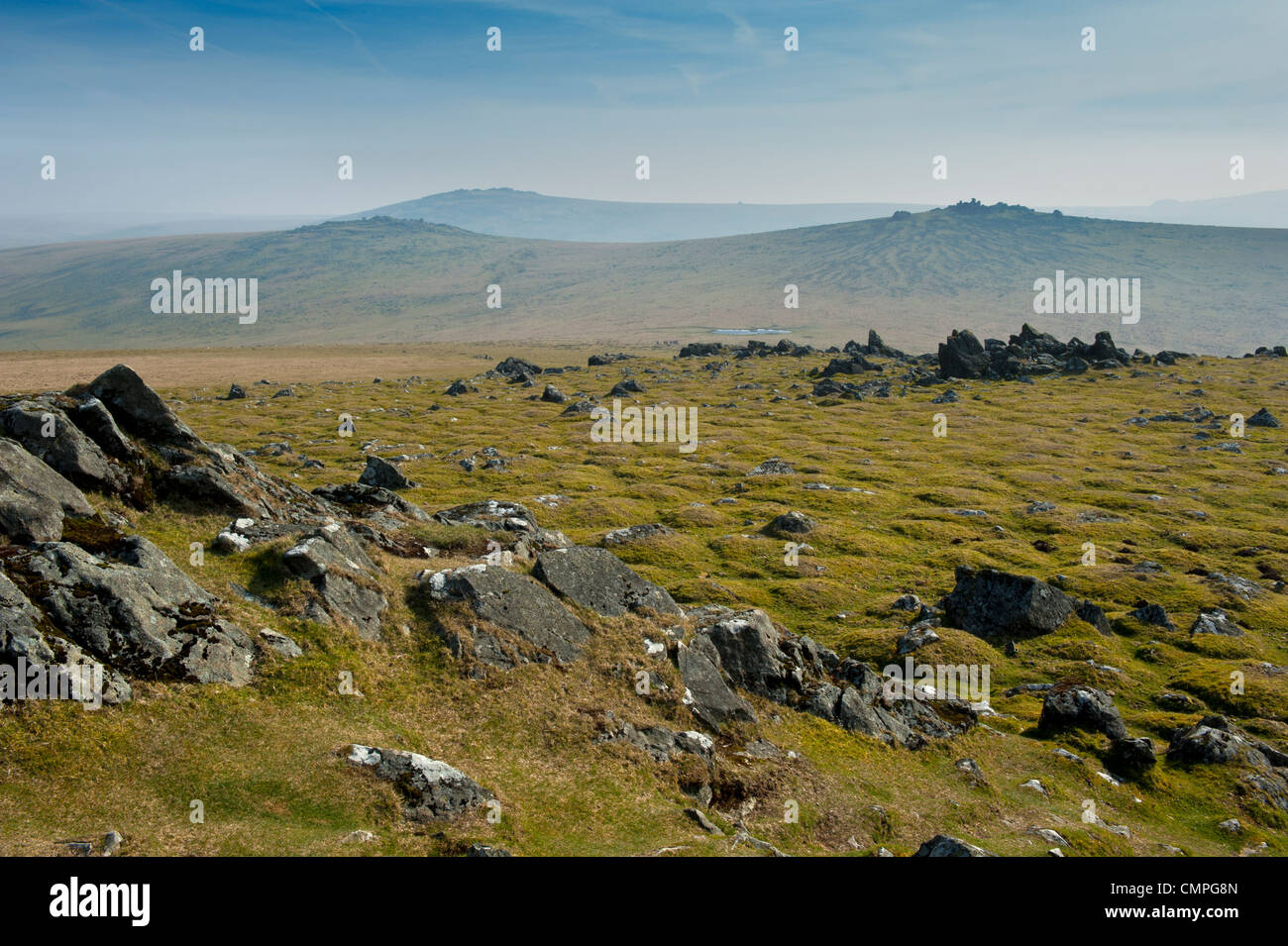 Early morning from Cox Tor and local Tors of Roos Tor, Great Staple Tor ...
