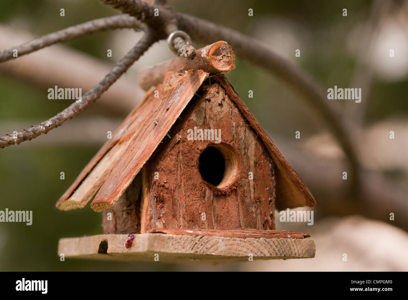 Little bird house on the branch of the tree Stock Photo - Alamy