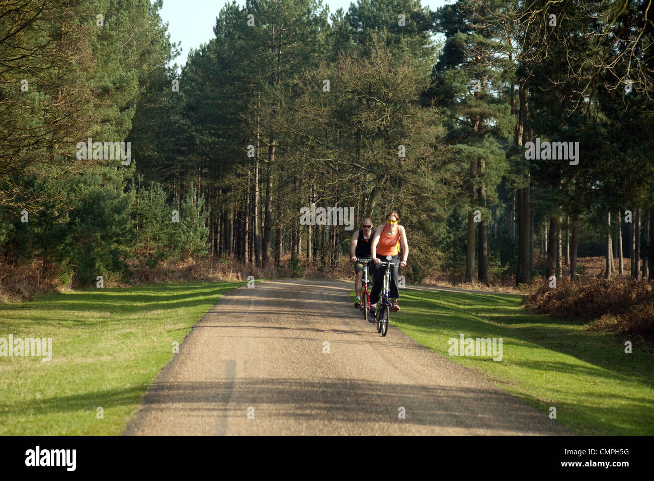A couple cycling on the road in Thetford Forest, Norfolk UK Stock Photo ...