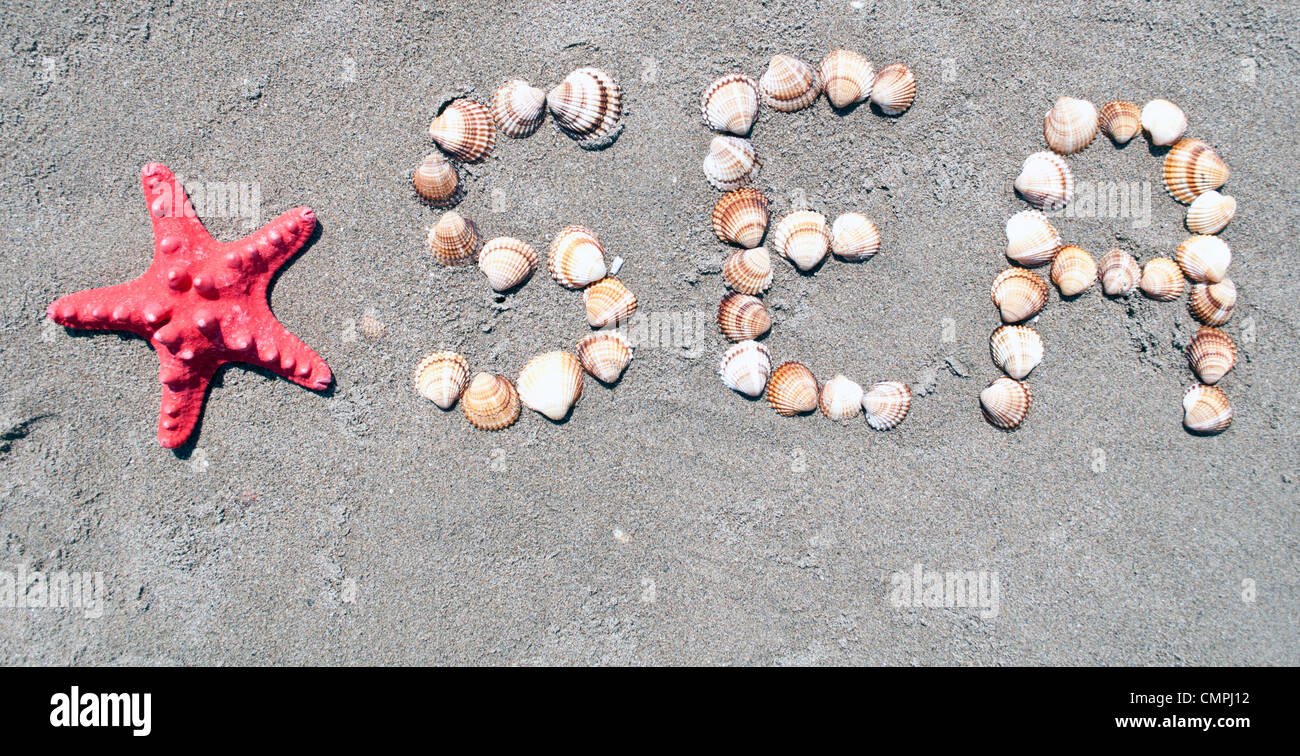 Word "SEA" made with sea shells and sea star Stock Photo - Alamy