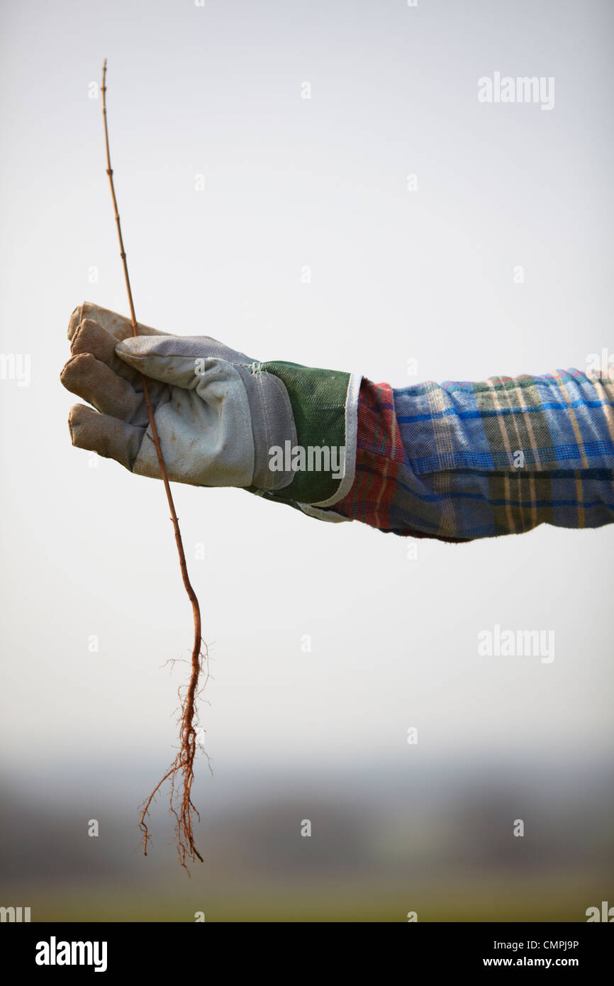 Outstretched arm hi-res stock photography and images - Alamy