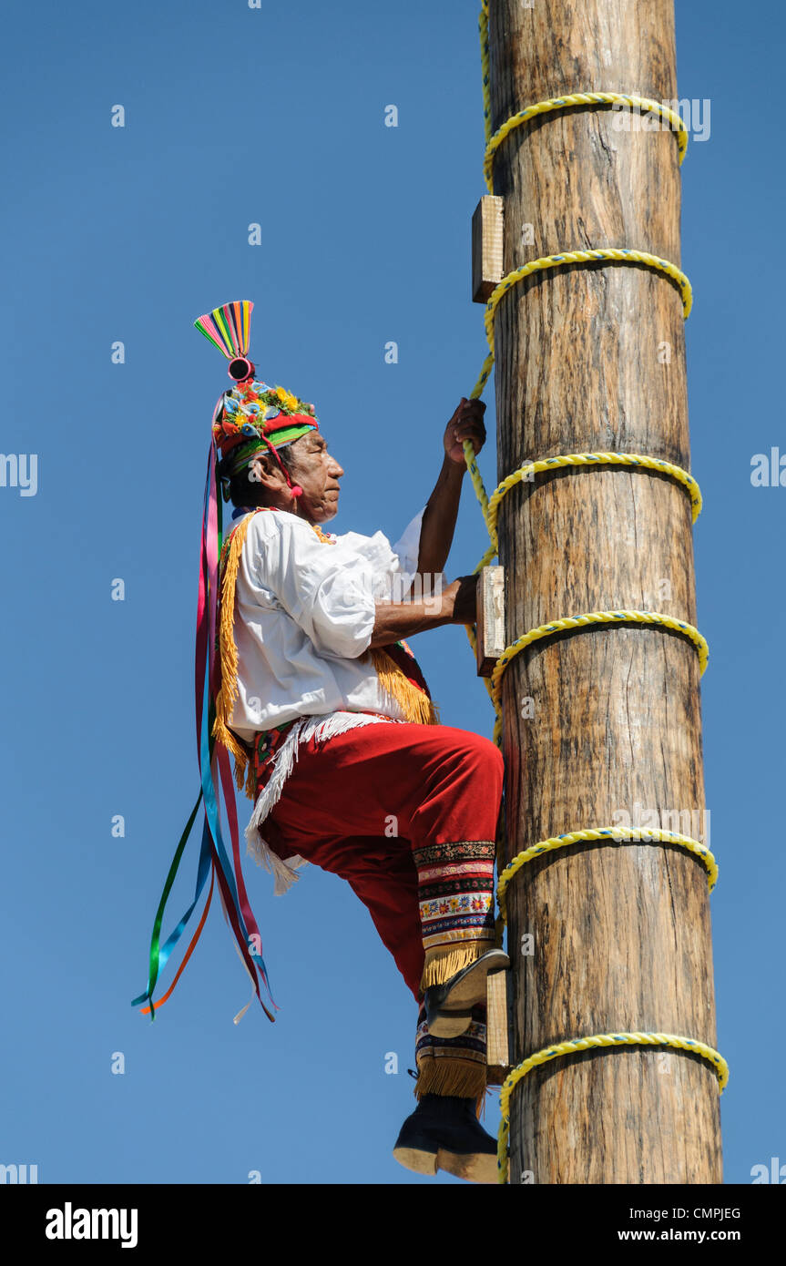 PLAYA DEL CARMEN, Mexico — A man climbs to the top of a tall pole as ...