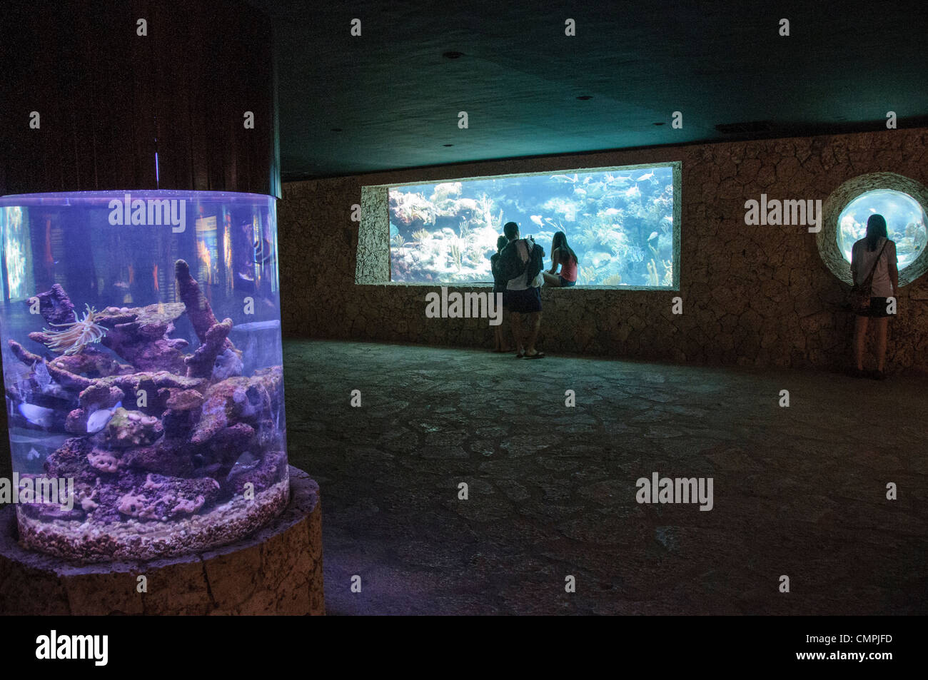 Xcaret Park Aquarium Viewing Window Playa Del Carmen Mexico // PLAYA ...