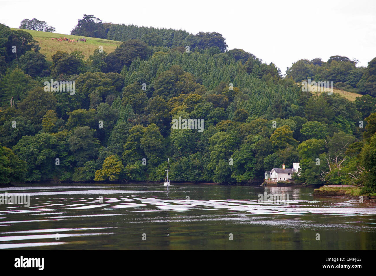 Duncannon Reach on the River Dart, Devon, England, UK Stock Photo - Alamy