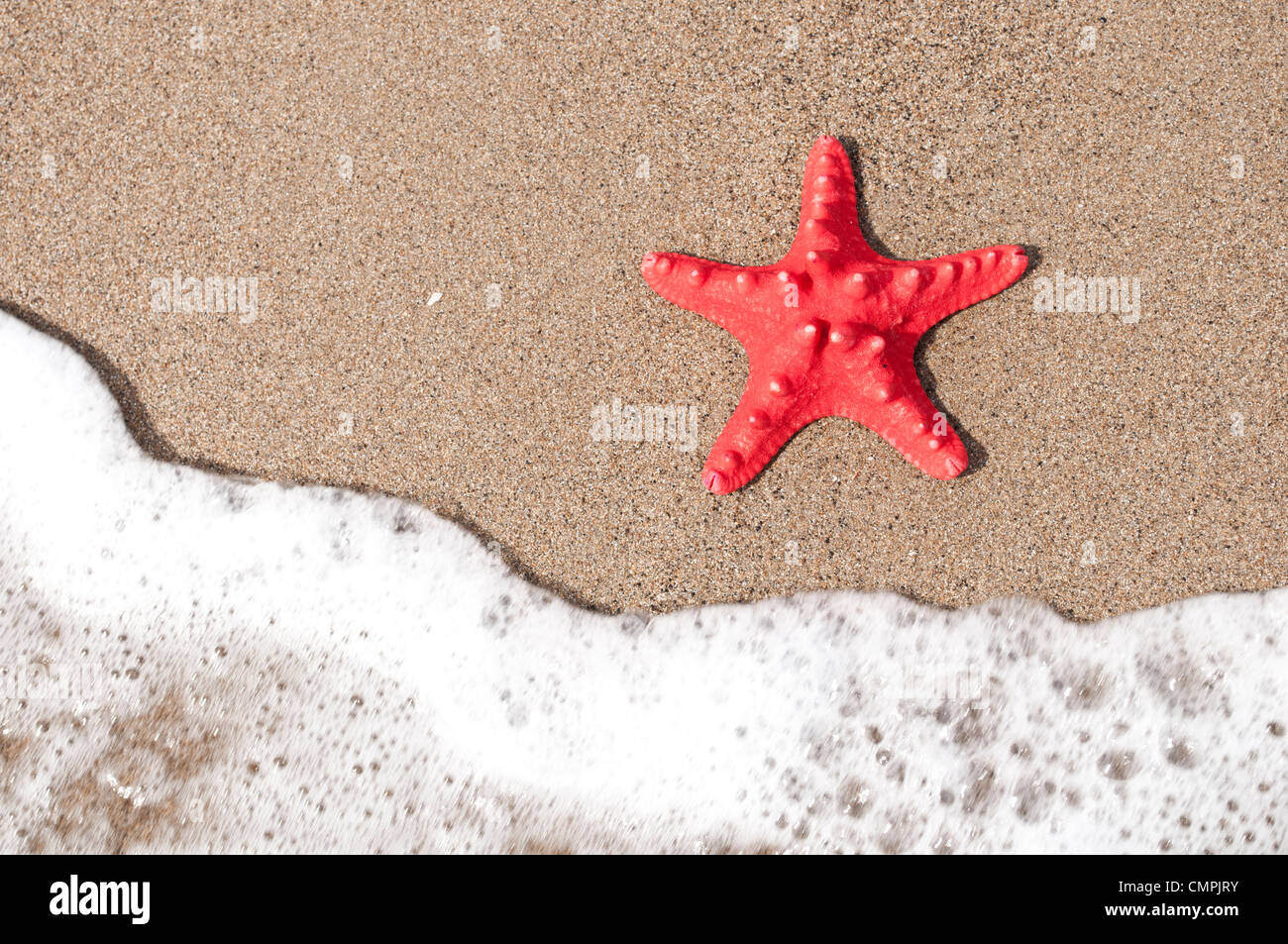 Starfish on sandy beach sunset hi-res stock photography and images - Alamy