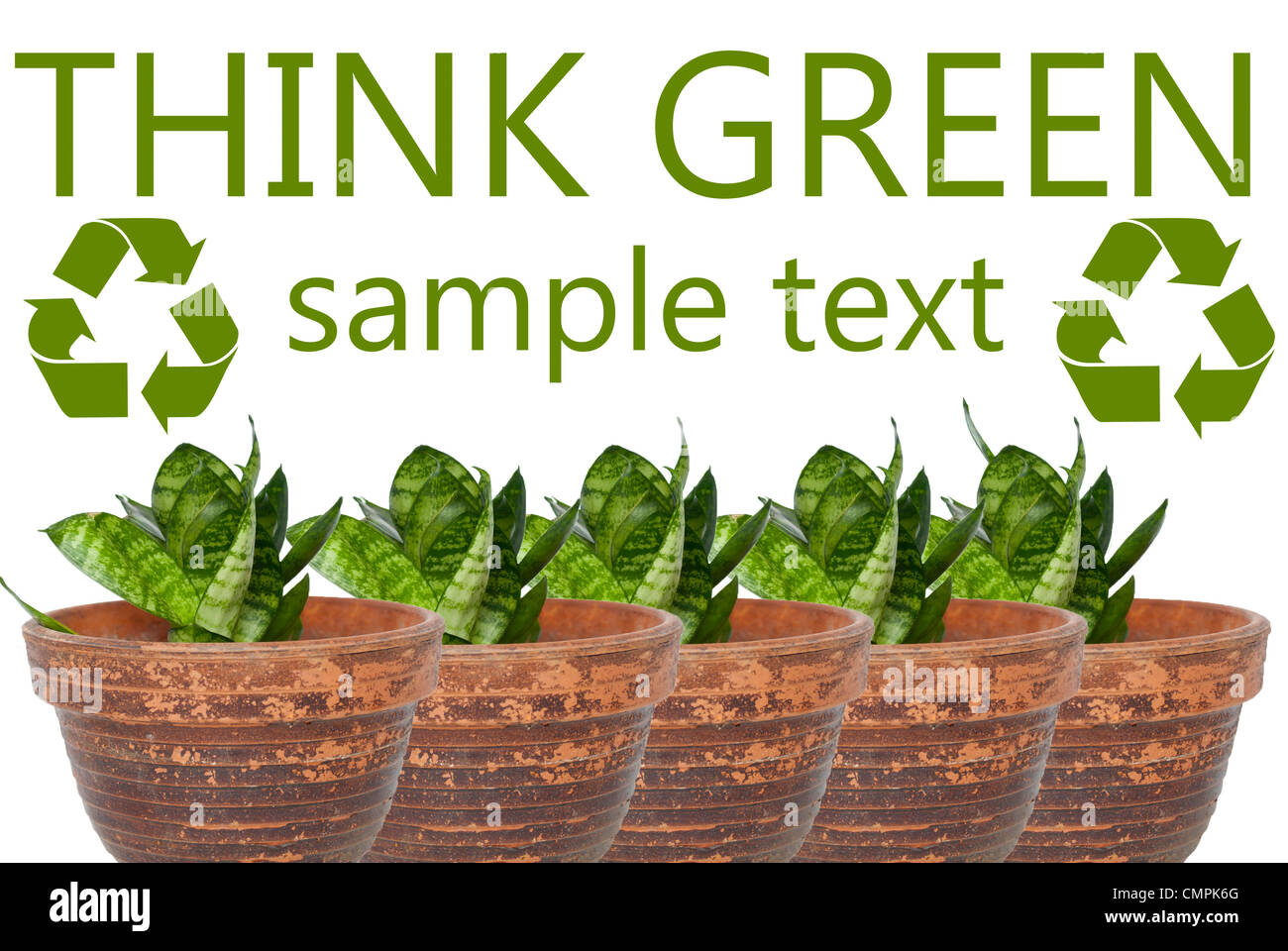 Think green concept - Vases with plants Stock Photo - Alamy