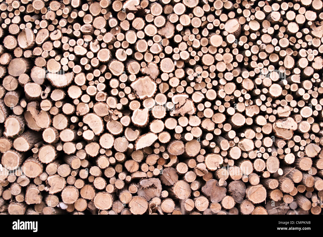 Stacked wood logs background Stock Photo - Alamy