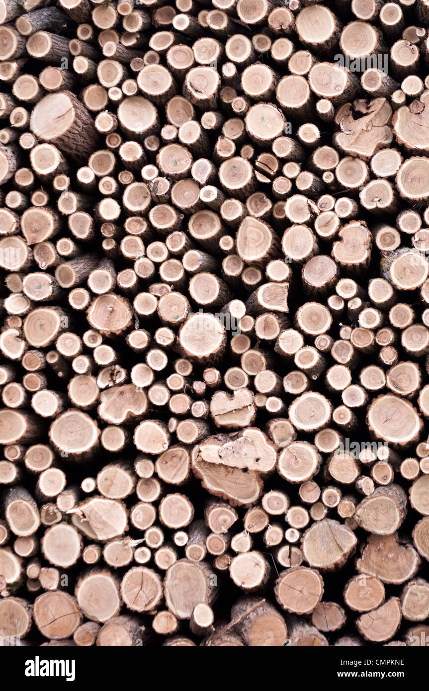 Wood log background Stock Photo - Alamy
