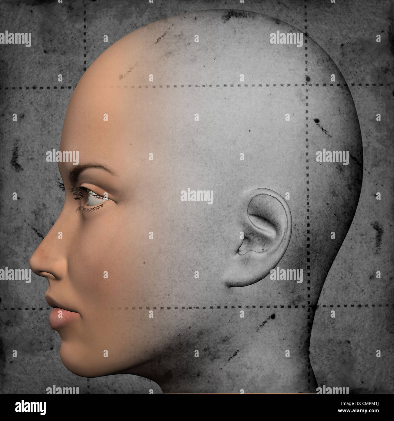 Unfinished sketch of female figure on stained paper with guidelines. 3d ...
