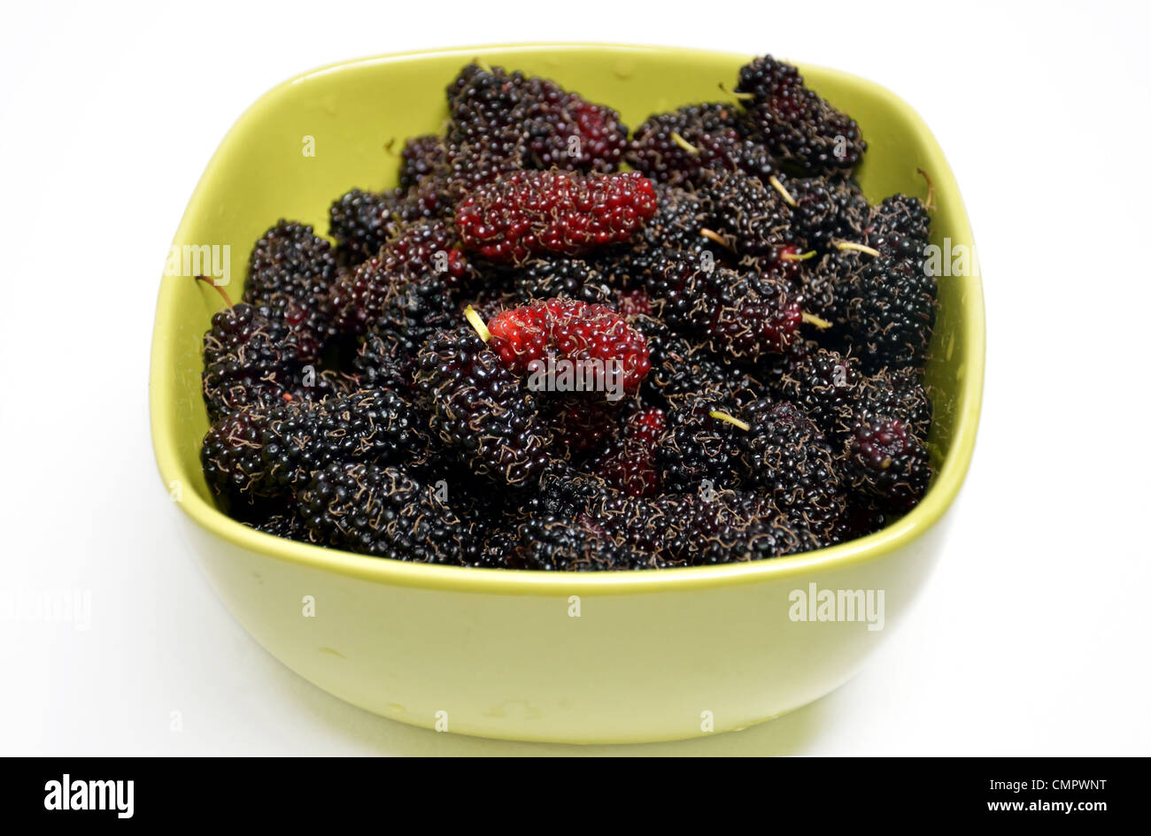 fresh mulberries in green bowl on white background Stock Photo - Alamy