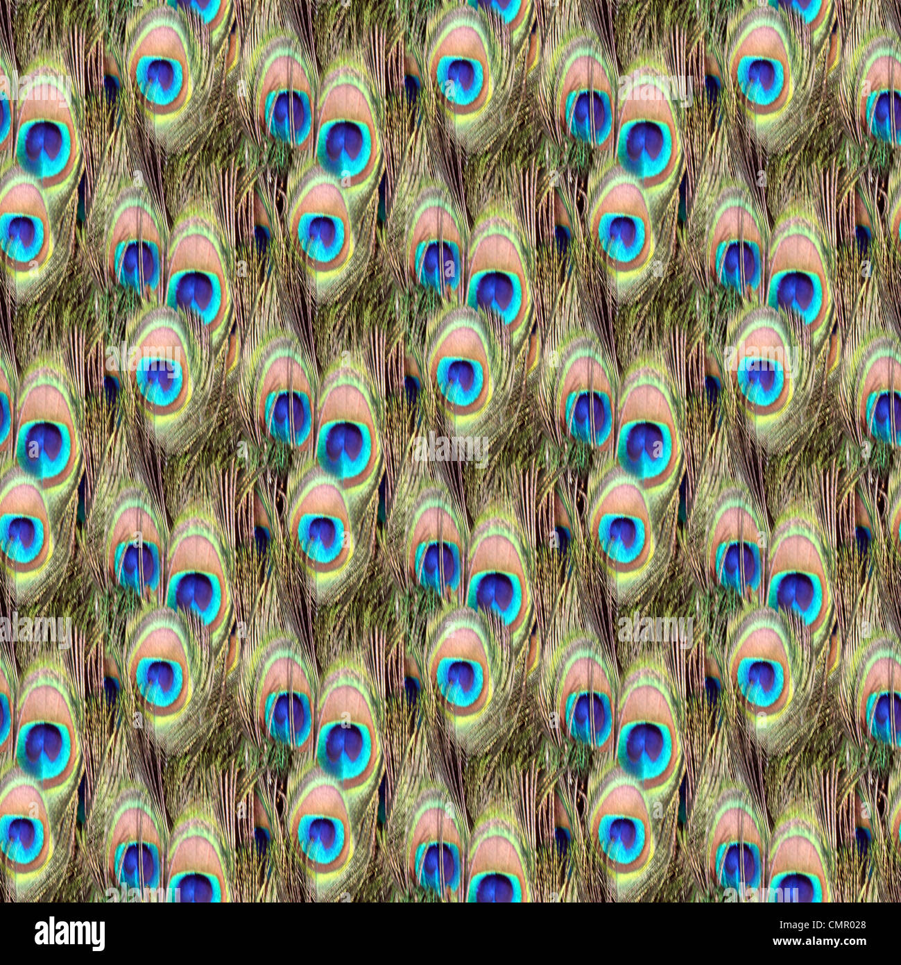 Peacock seamless pattern Stock Photo - Alamy