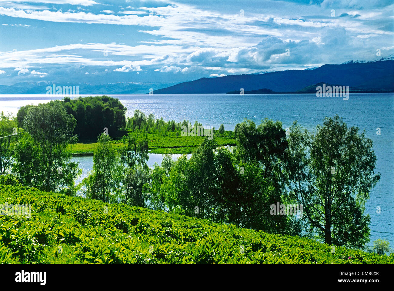 Lake Markakol. The Altai Mountains. East Kazakhstan Stock Photo - Alamy