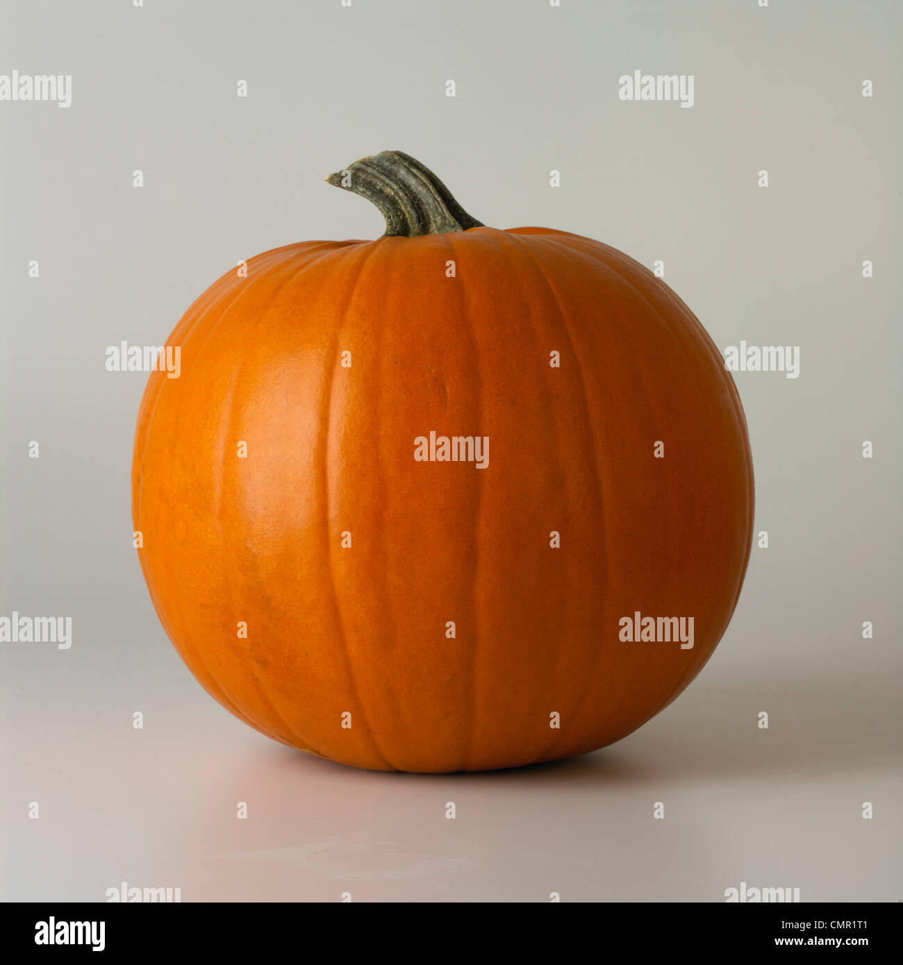 One pumpkin hi-res stock photography and images - Alamy