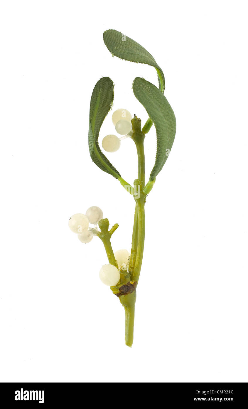 Mistletoe druid hi-res stock photography and images - Alamy