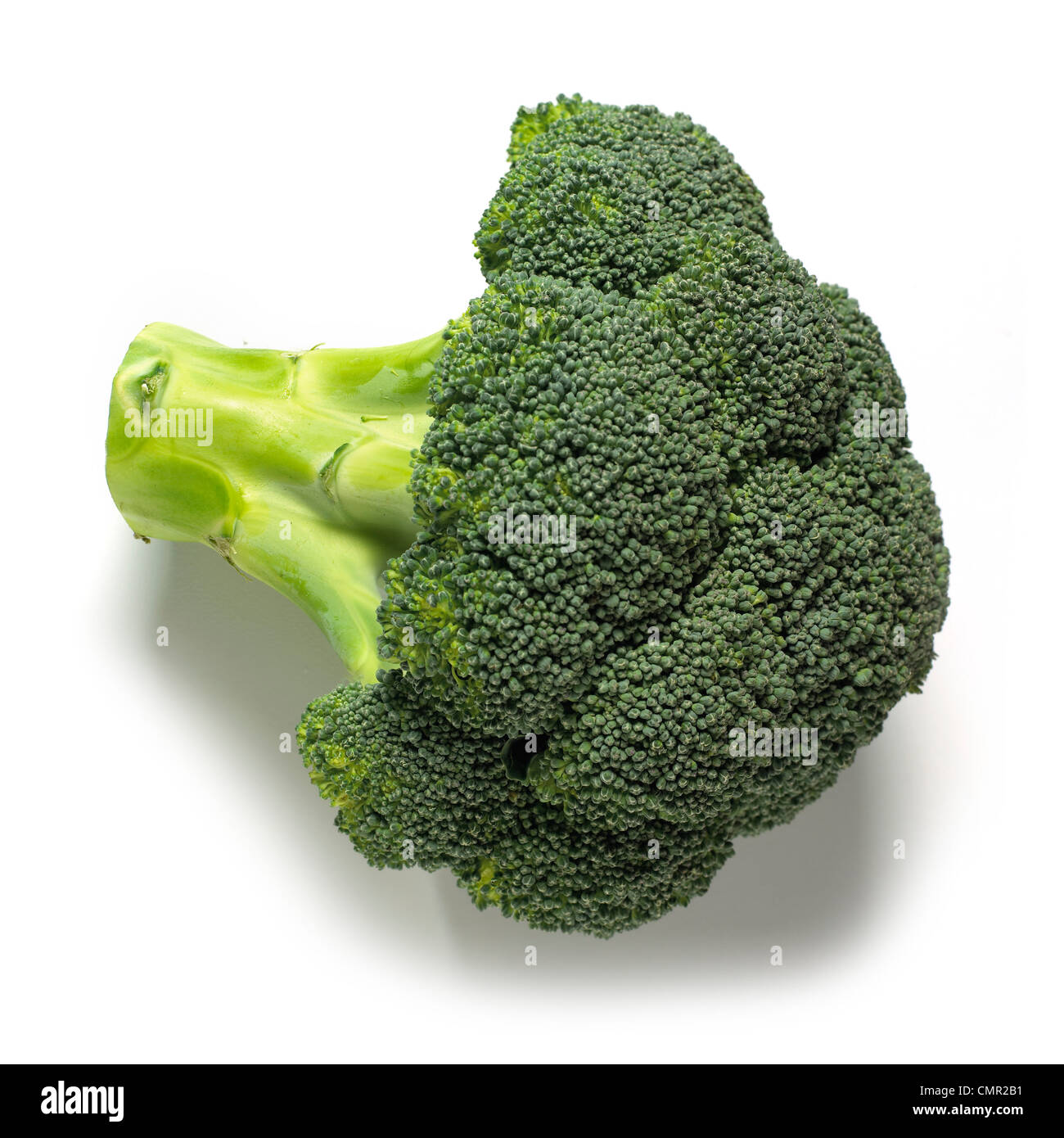 one single sprig broccoli Stock Photo - Alamy