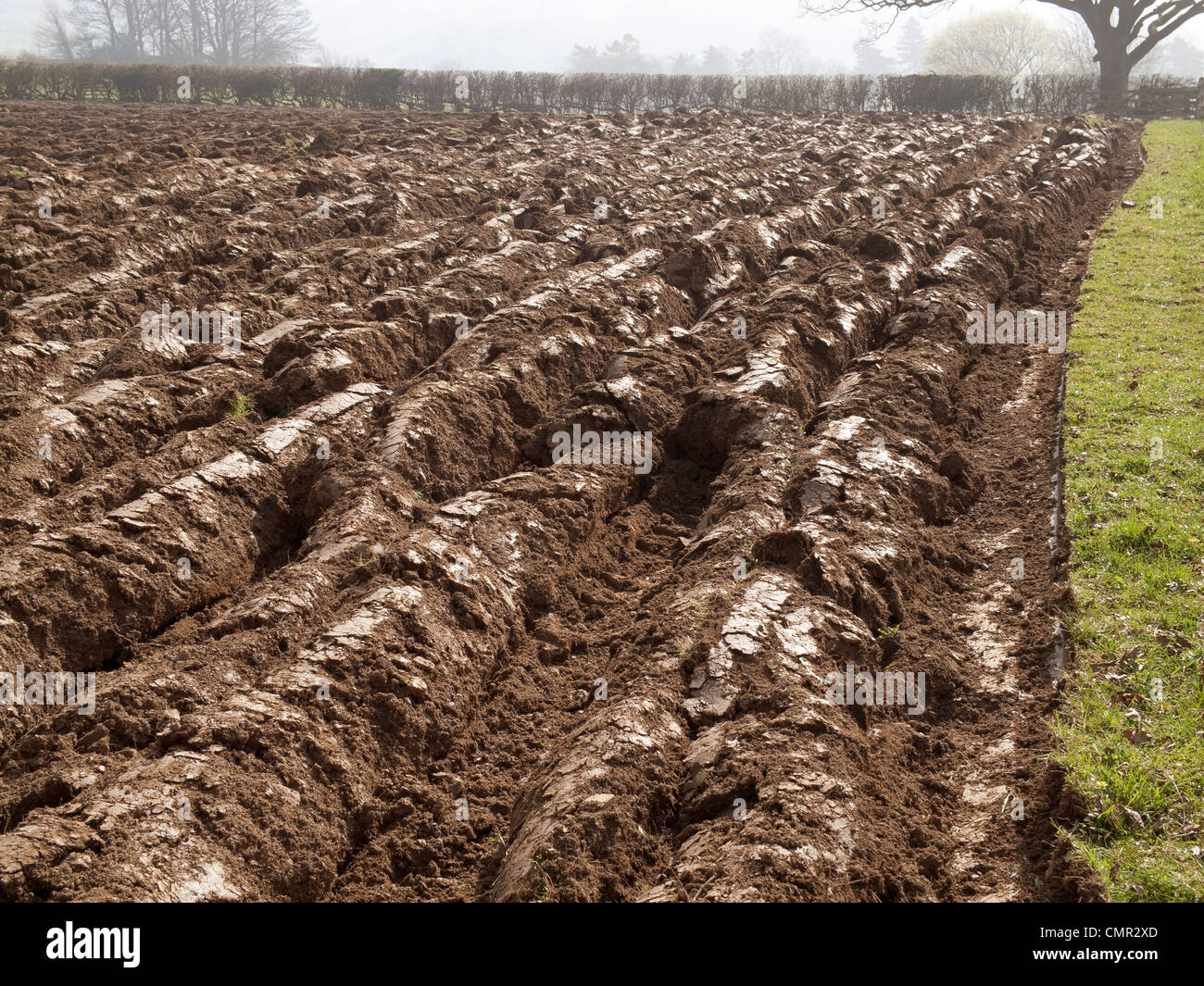 Ploughed field hi-res stock photography and images - Alamy