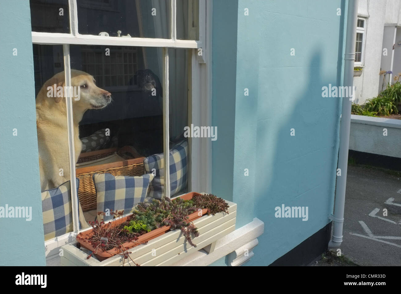 They left home hi-res stock photography and images - Alamy