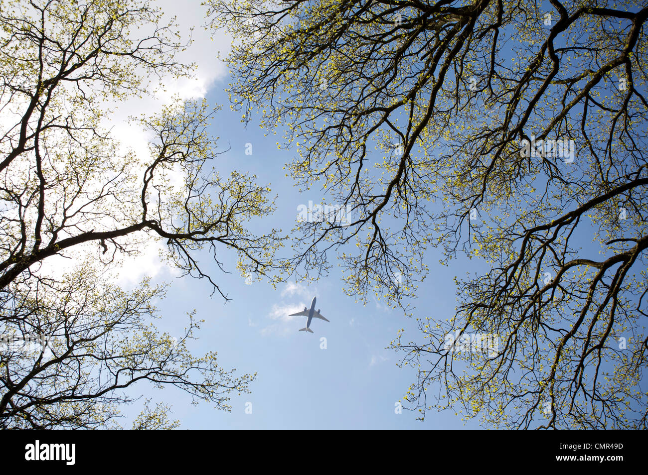 Aeroplane flying above trees Stock Photo - Alamy