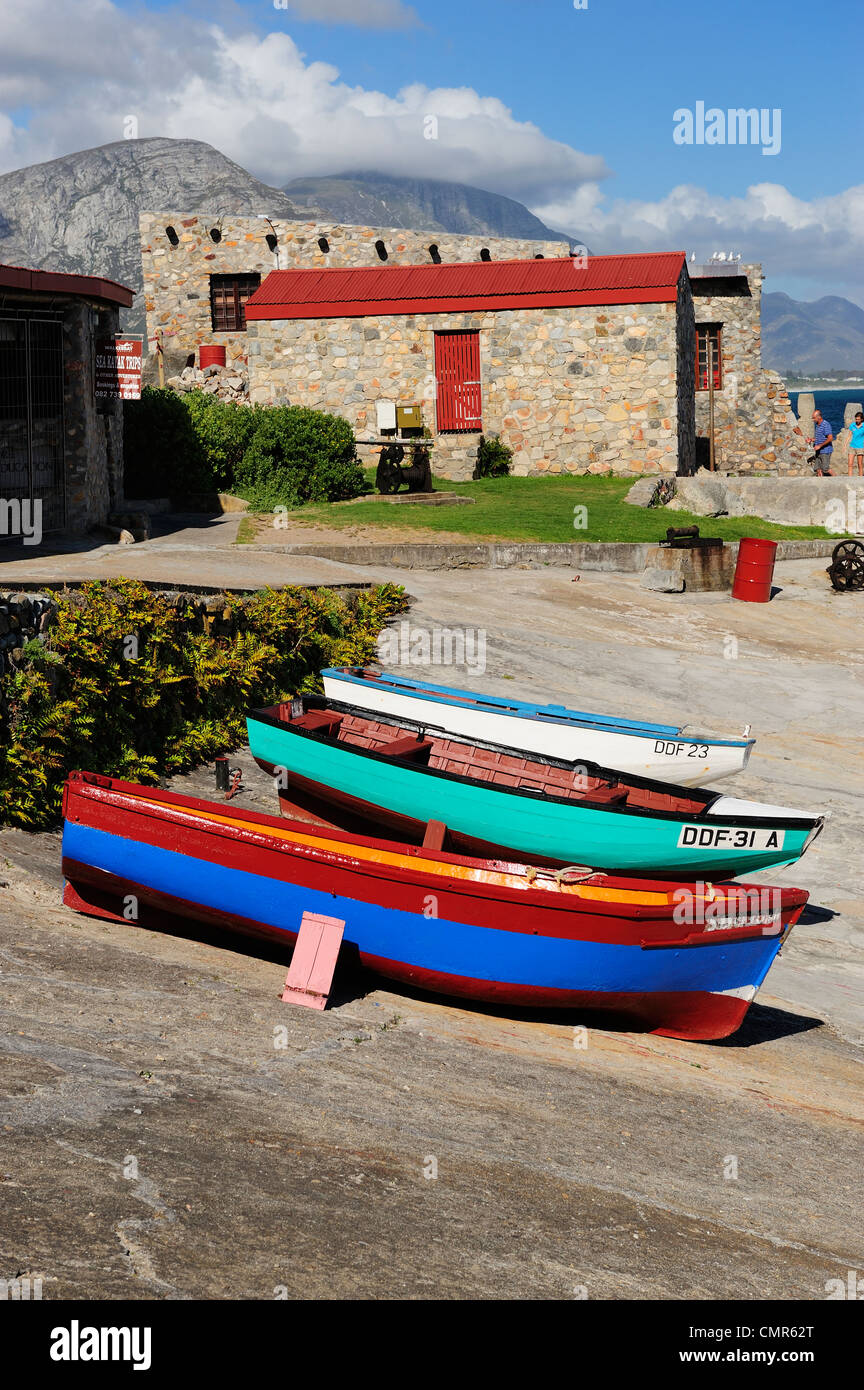 Colourful restored fishing boats in Hermanus harbour on Walker Bay ...