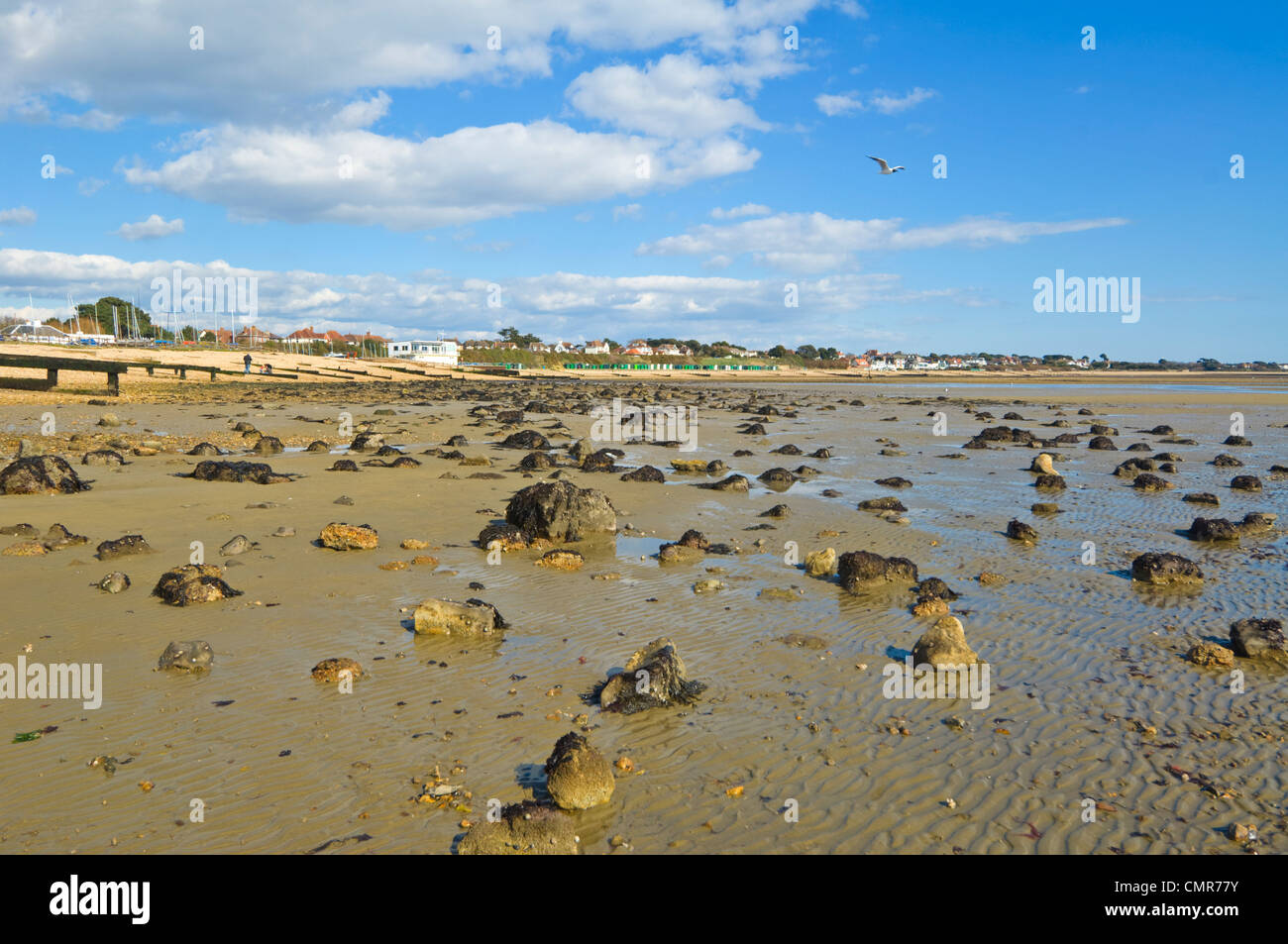 Meon shore hi-res stock photography and images - Alamy