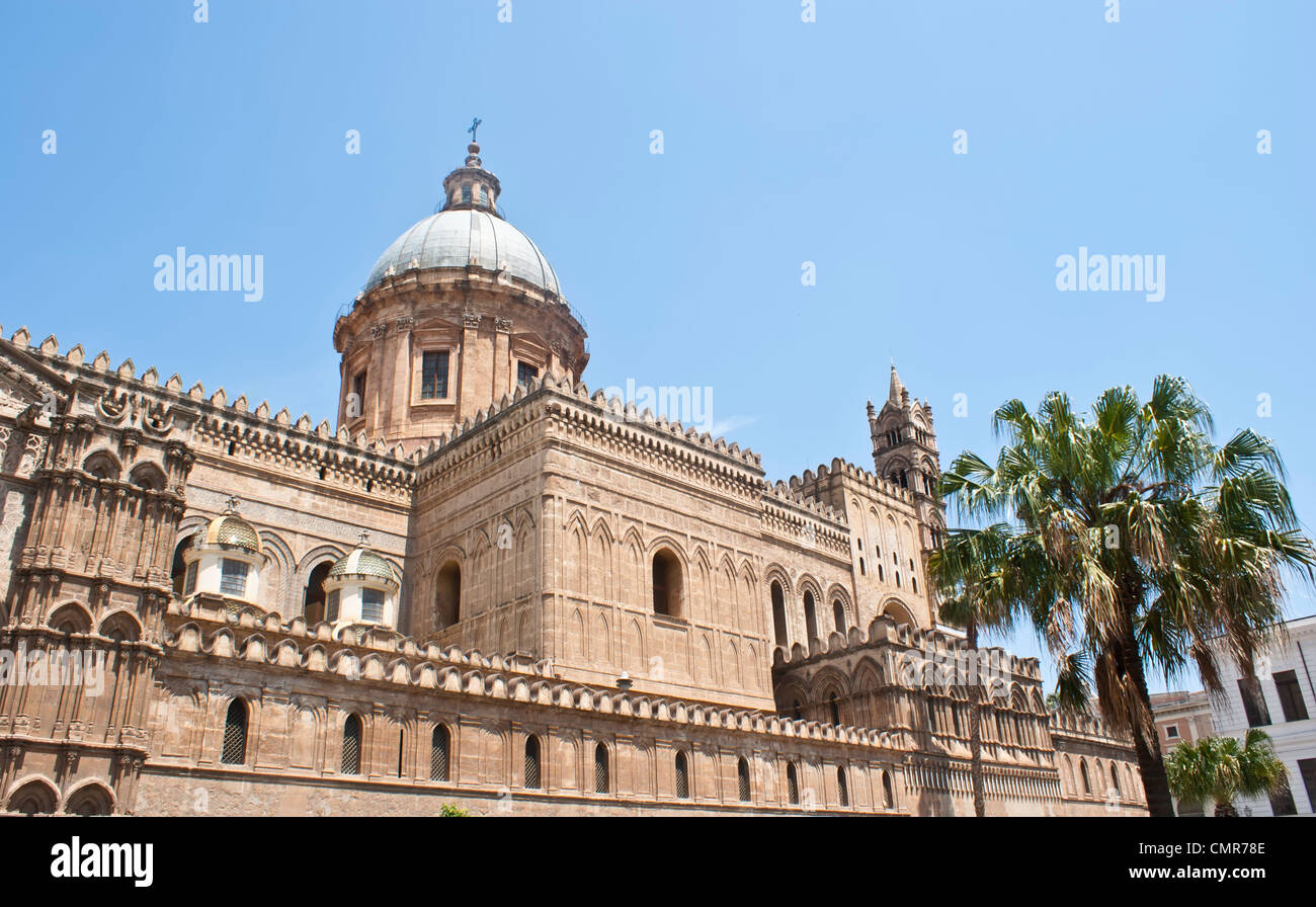 Palermo palm hi-res stock photography and images - Alamy