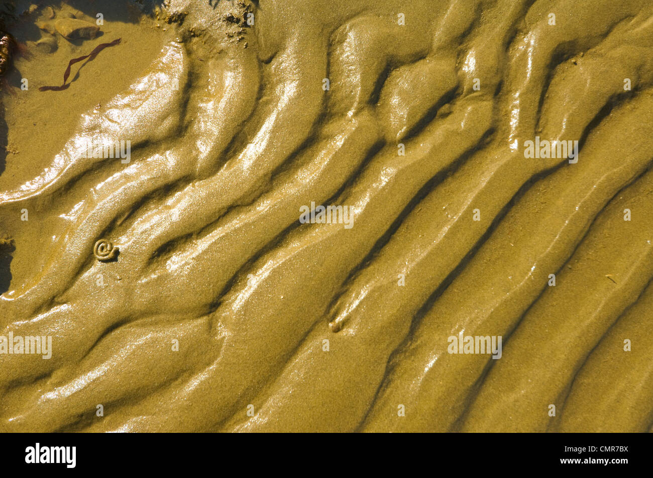 Meon shore beach hi-res stock photography and images - Alamy