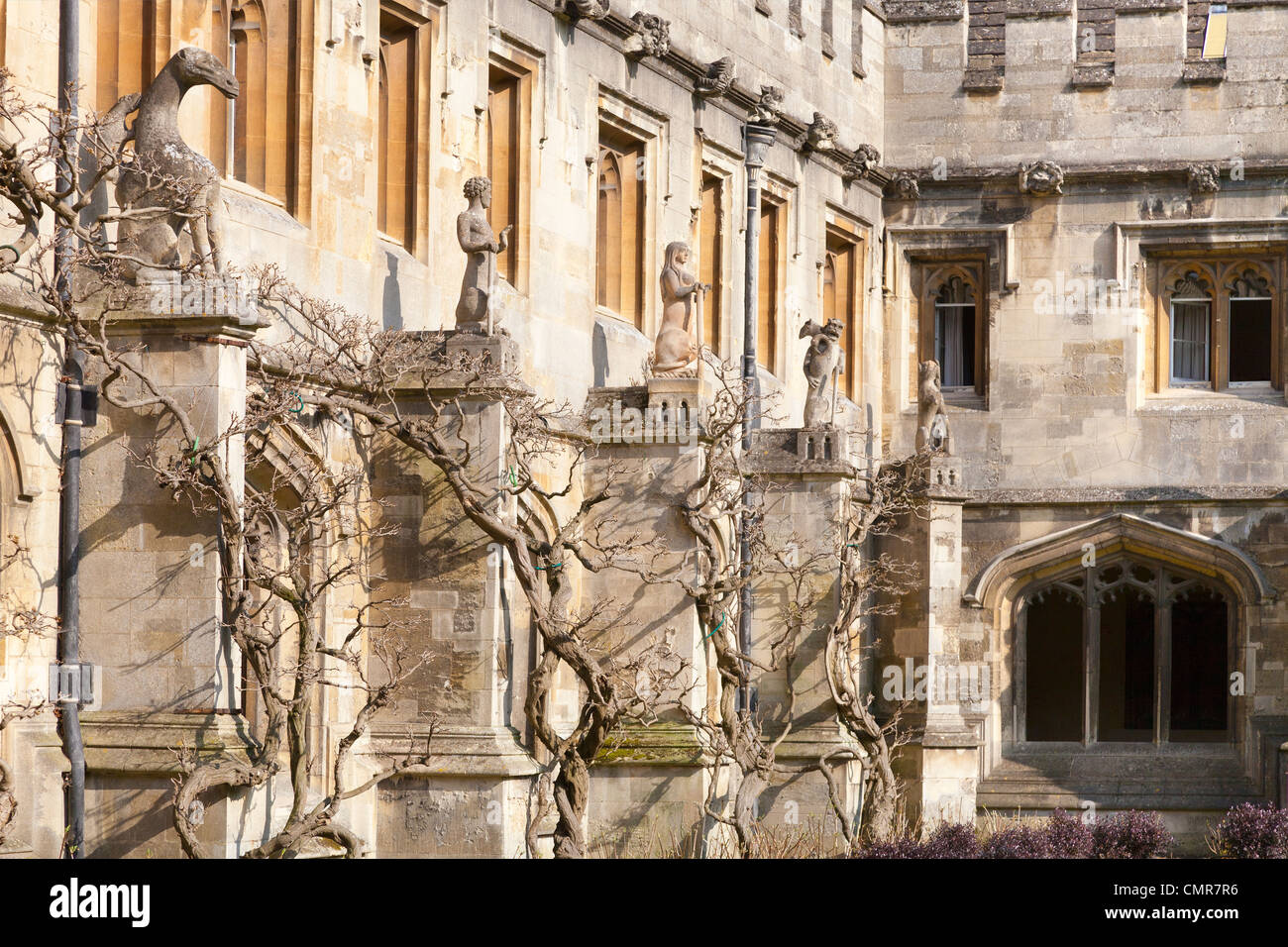 Magdalen College Oxford - the Cloister, statues and Wisteria 3 Stock ...