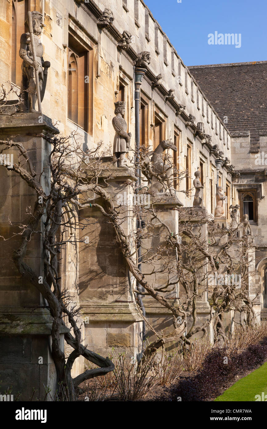 Magdalen College Oxford - the Cloister, statues and Wisteria 5 Stock ...