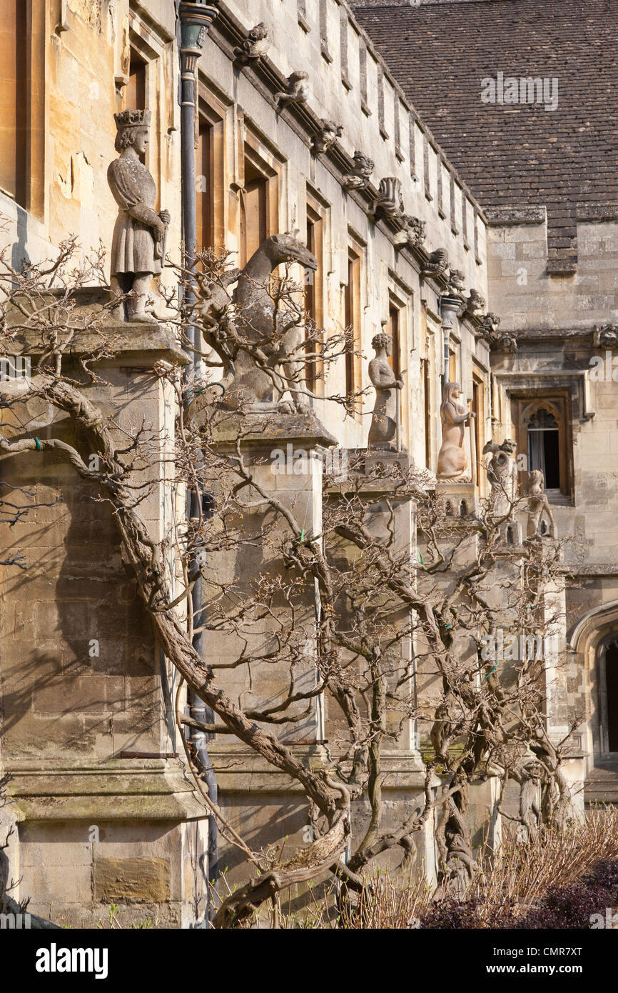 Magdalen College Oxford - the Cloister, statues and Wisteria 6 Stock ...
