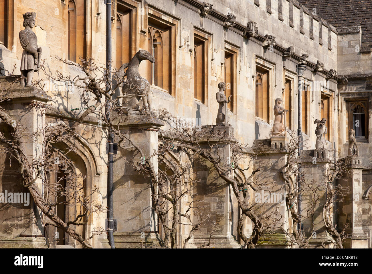 Magdalen College Oxford - the Cloister, statues and Wisteria Stock ...