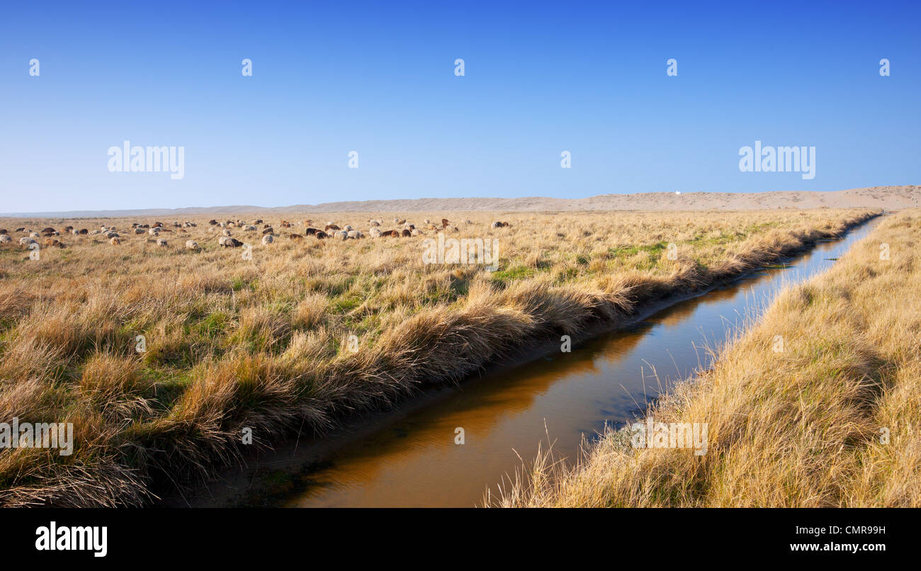 Cley grazing marsh norfolk hi-res stock photography and images - Alamy