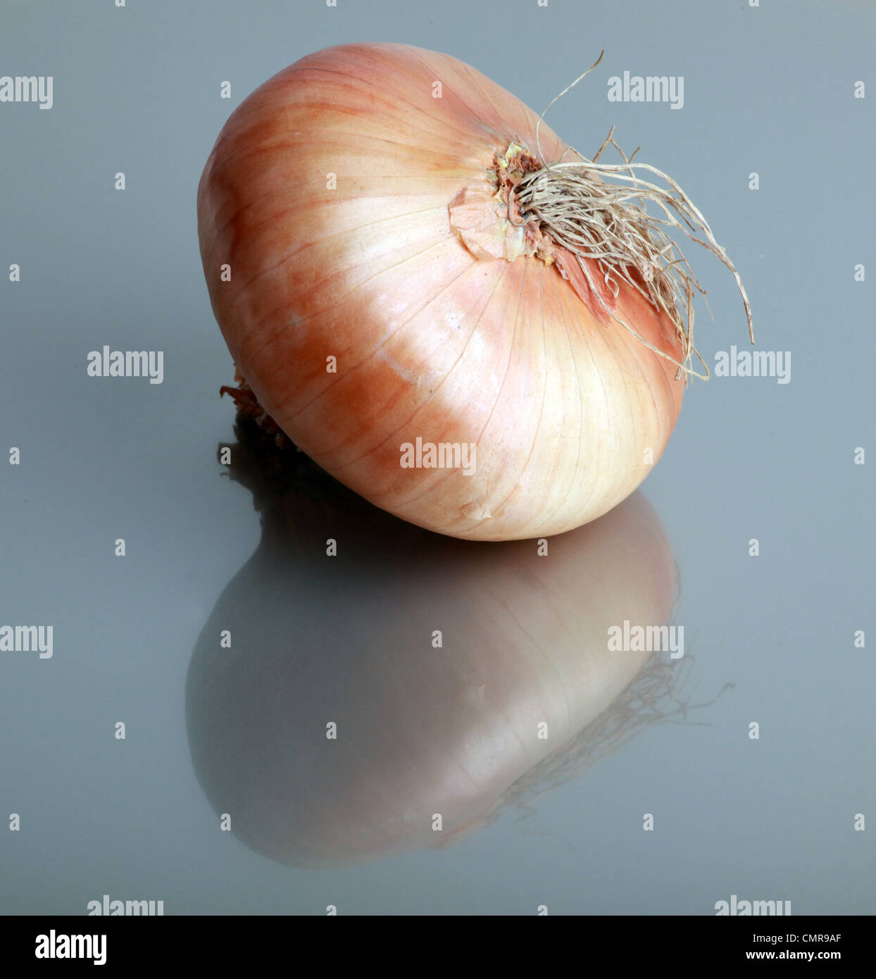 Onion photos hi-res stock photography and images - Alamy