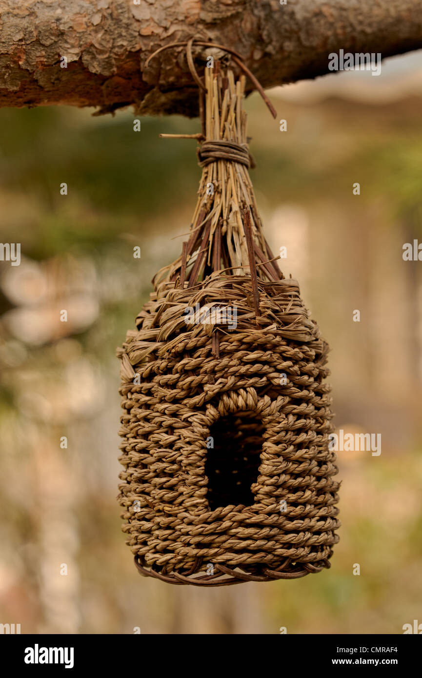 Organic knitting bird house at the branch of the tree Stock Photo - Alamy