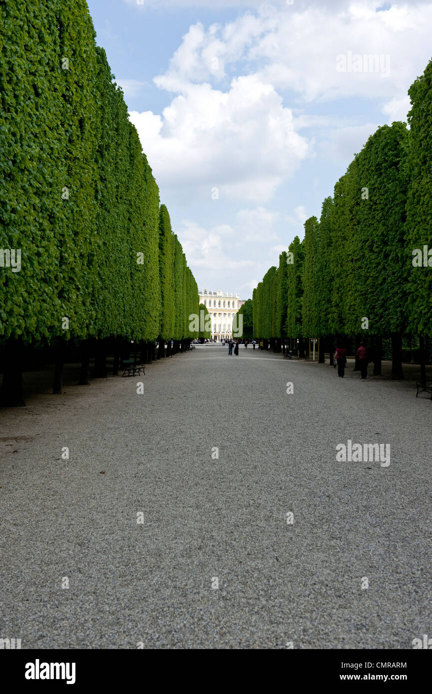 A tree pathway in a european state Stock Photo - Alamy