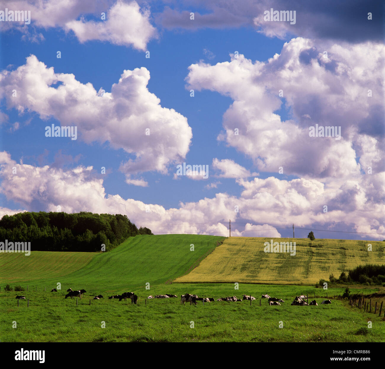 Val brillant hi-res stock photography and images - Alamy