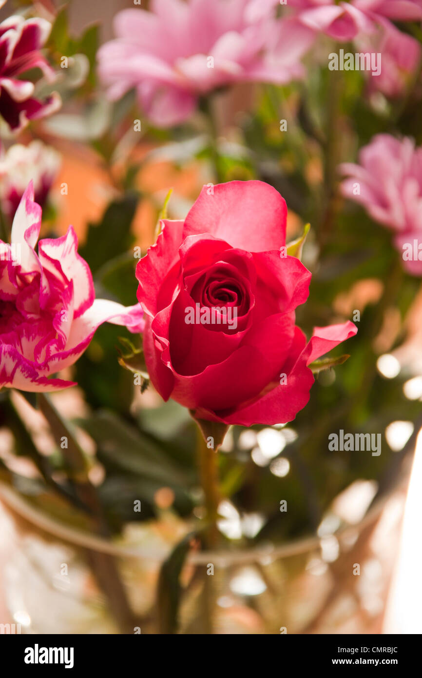 red rose part of bouquet of cut flowers Stock Photo - Alamy