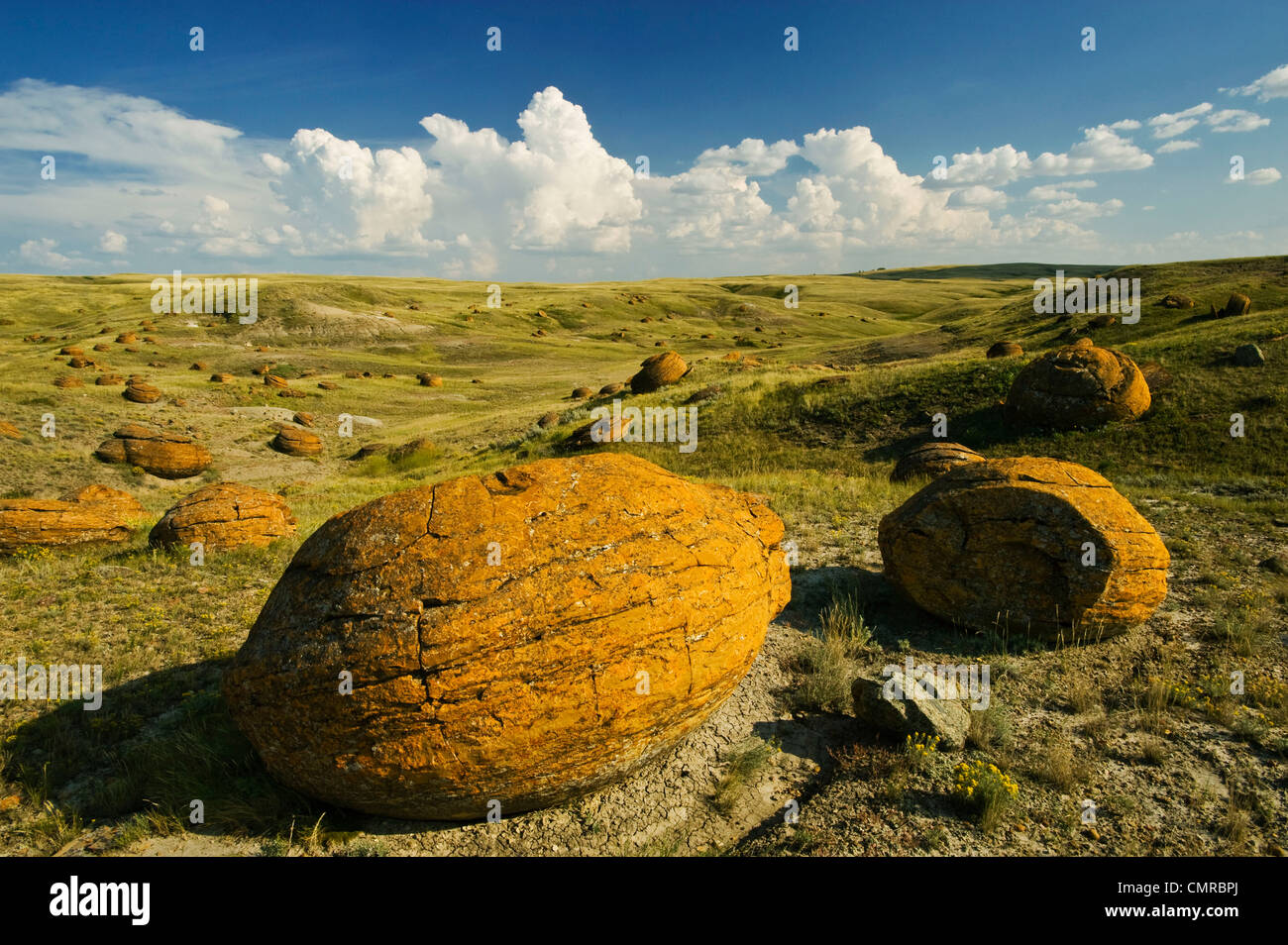 Concretions in sandstone hi-res stock photography and images - Alamy