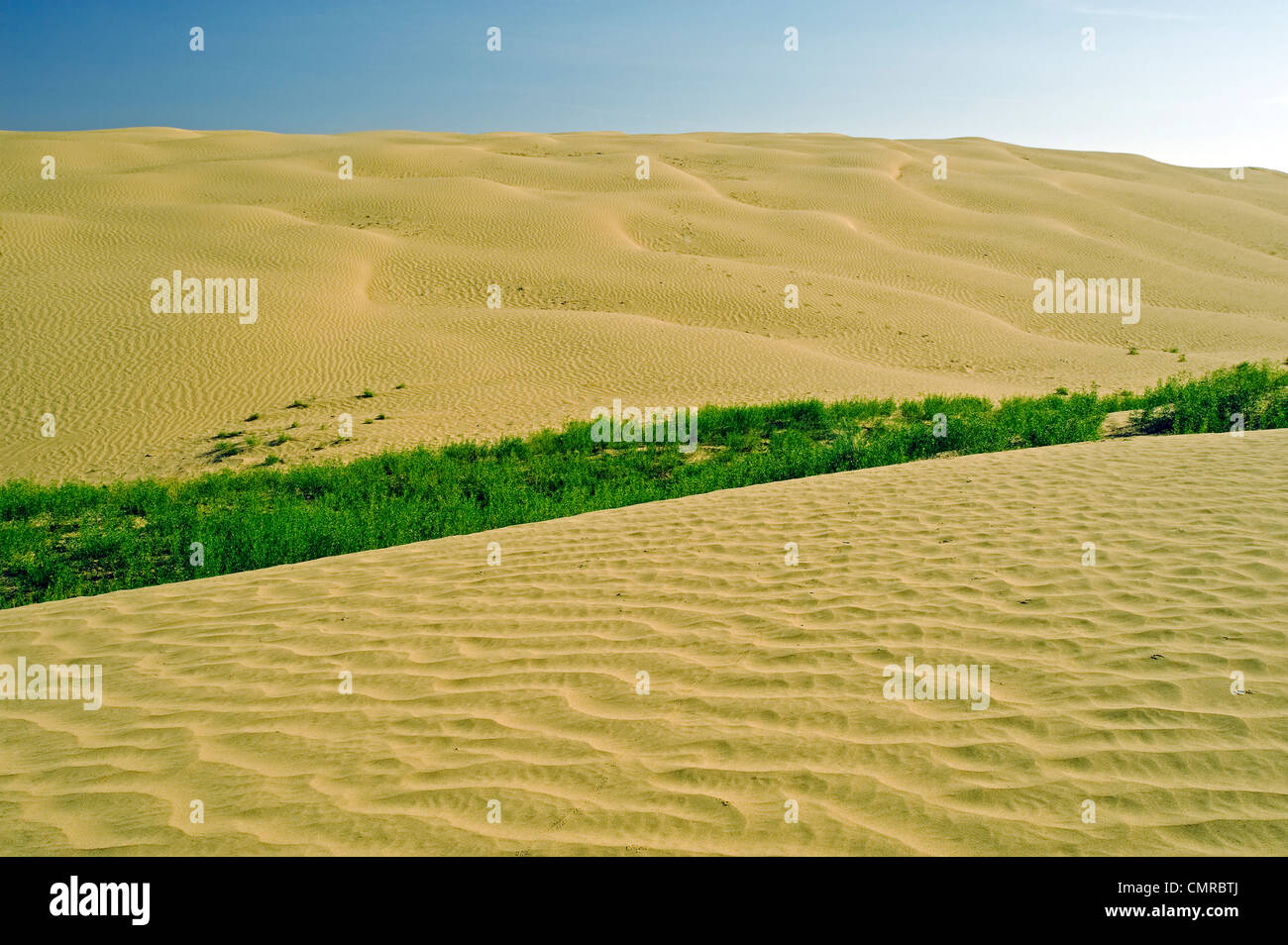 The Great Sandhills, near Sceptre, Saskatchewan Stock Photo - Alamy