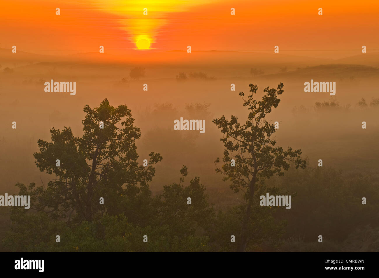 Sceptre saskatchewan hi-res stock photography and images - Alamy