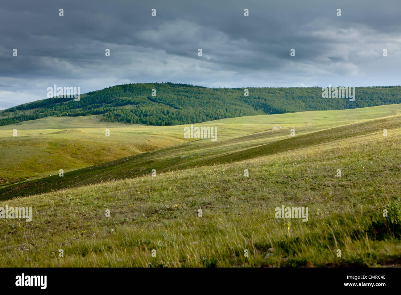 landscape of beautiful steppe in Mongolia Stock Photo - Alamy