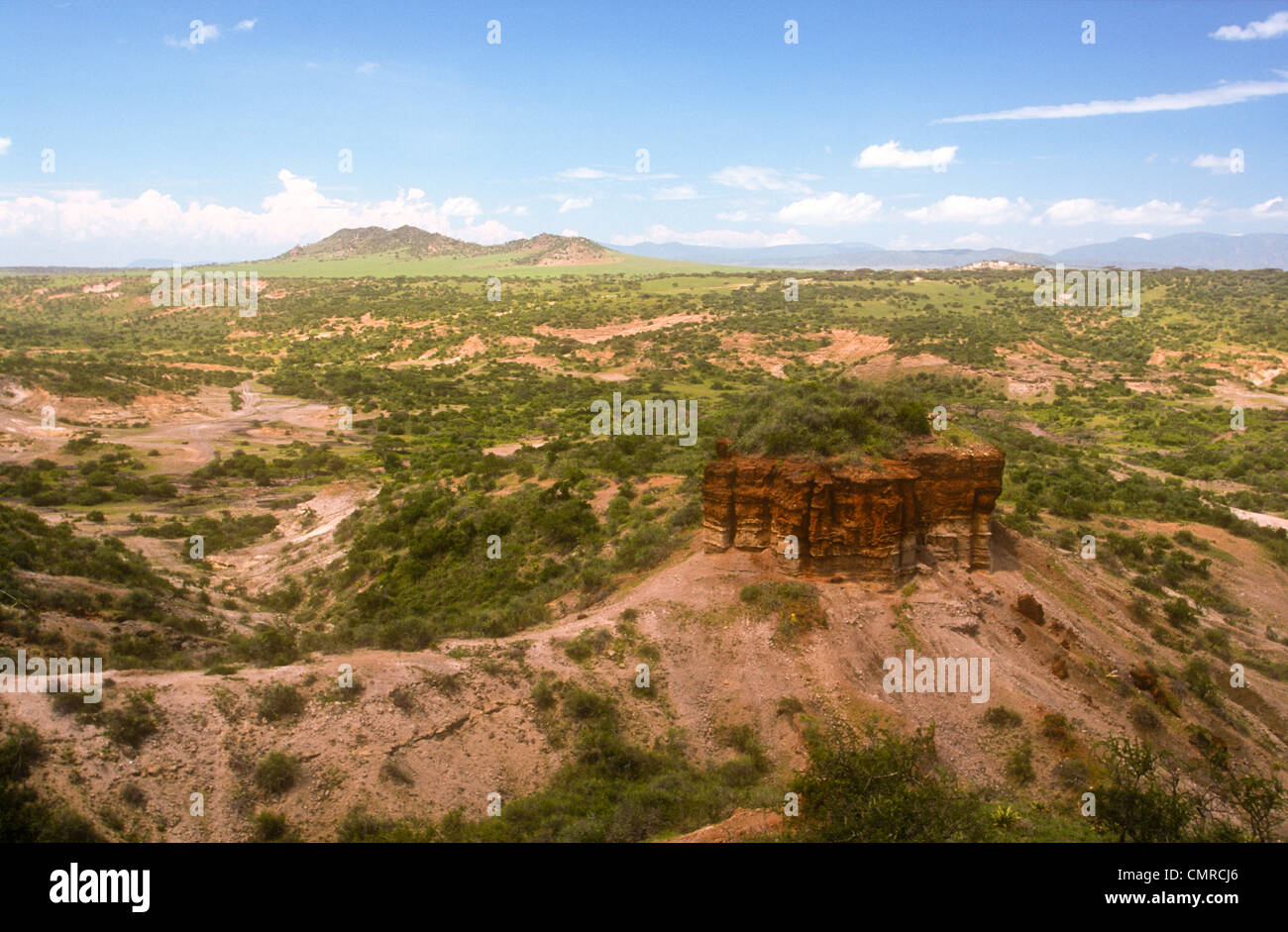 Olduvai gorge hi-res stock photography and images - Alamy