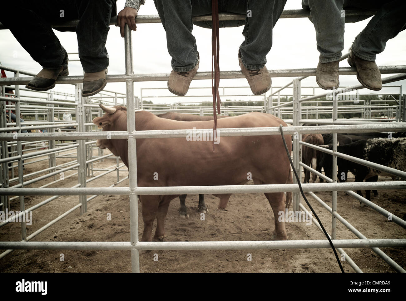 Participants watch the riders at the Dorchester Rodeo outside London ...