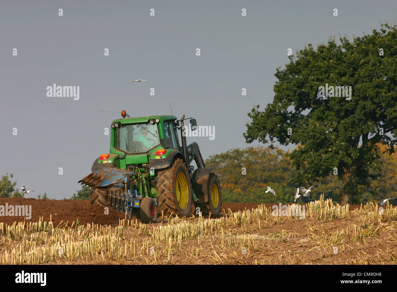 Green Tractor Ploughing Barley in Field Stock Photo - Alamy