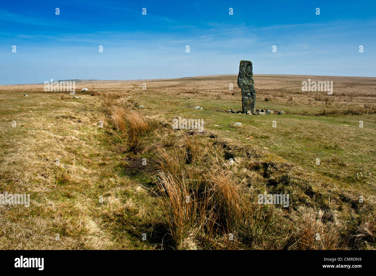 Langstone Moor on Dartmoor showing the longstone, Menhir and open ...