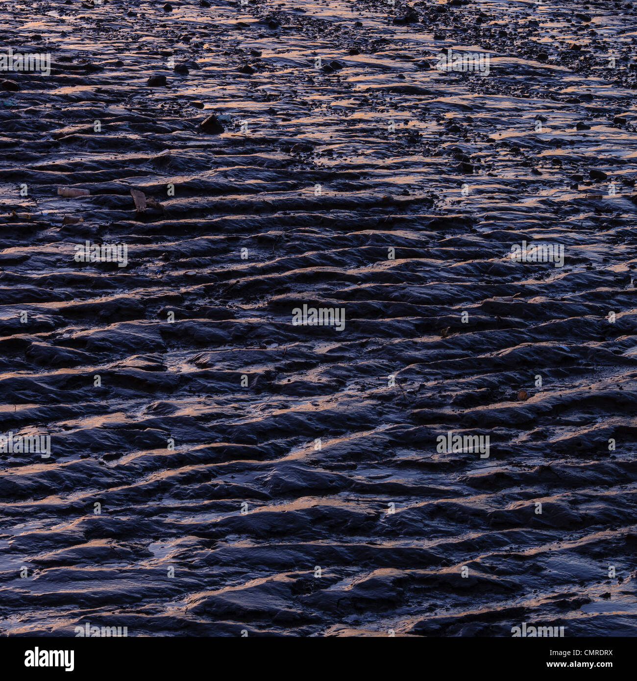 Crisp texture hi-res stock photography and images - Alamy