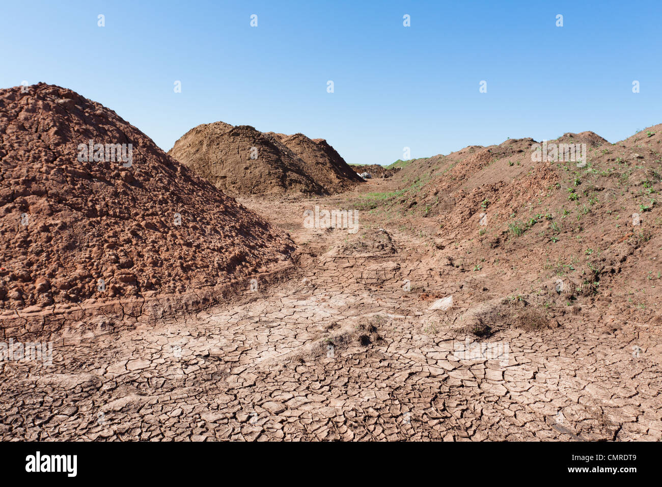 The soil and mineral soil collected in a heap in the regeneration of ...