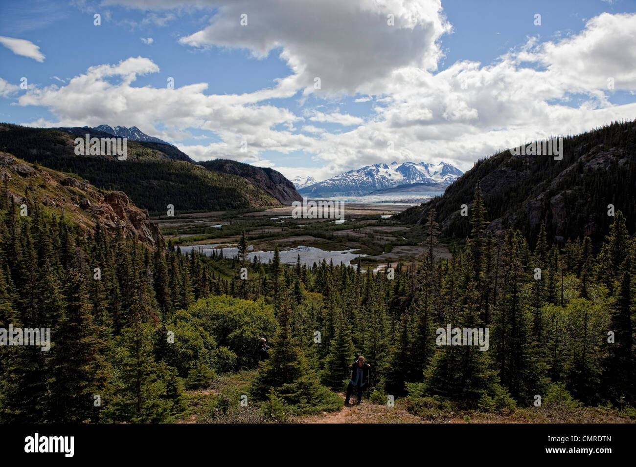Person enjoying view of the Llewellyn Glacier, Atlin Provincial Park ...